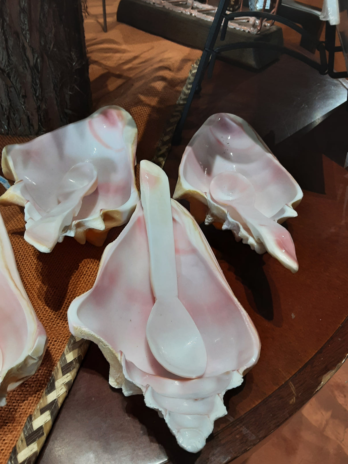 Conch Shell Bowls – Depre International